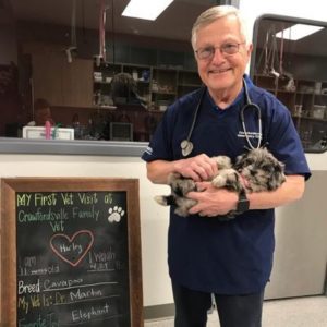 Best Veterinary Hospital In Crawfordsville, IN 47933 | CFV